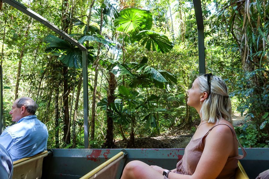 Where Is The World's Oldest Rainforest? - Cairns-Tours